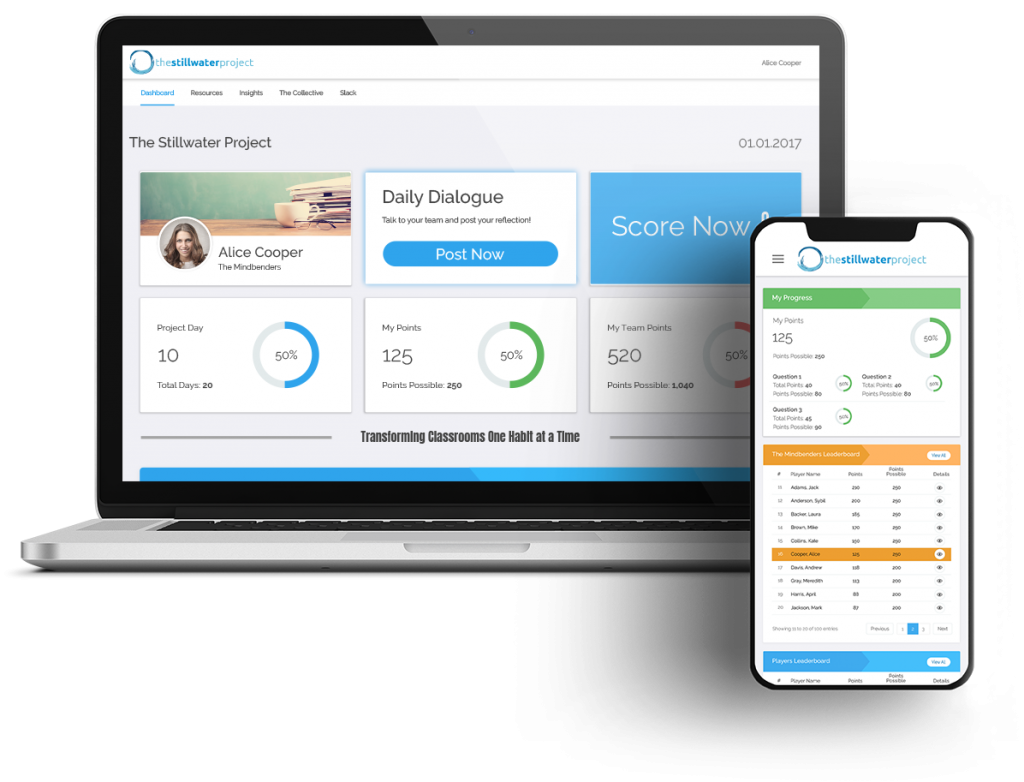 THE STILLWATER PROJECT - Open Professional Group | Database Developer & Web Software Development