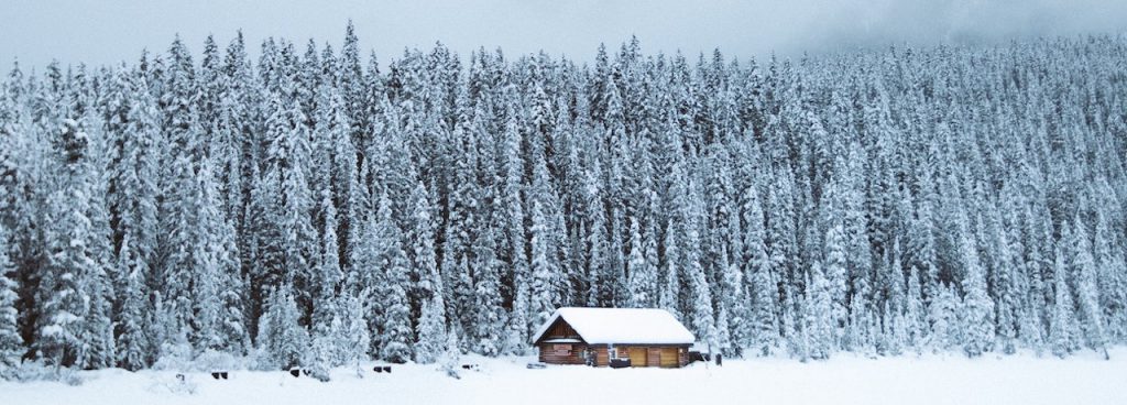 Virtual Workplaces Are Here To Stay - Open Professional Group | Database Developer & Web ...